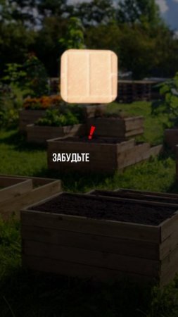 Как вы думаете, огород может стать украшением всего участка?🌿