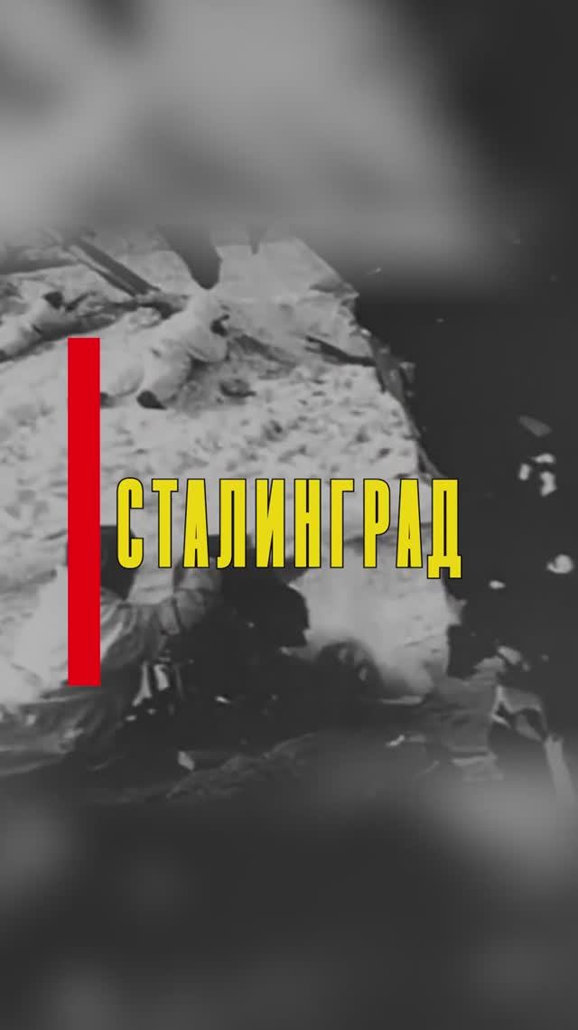 Сталинград (5)