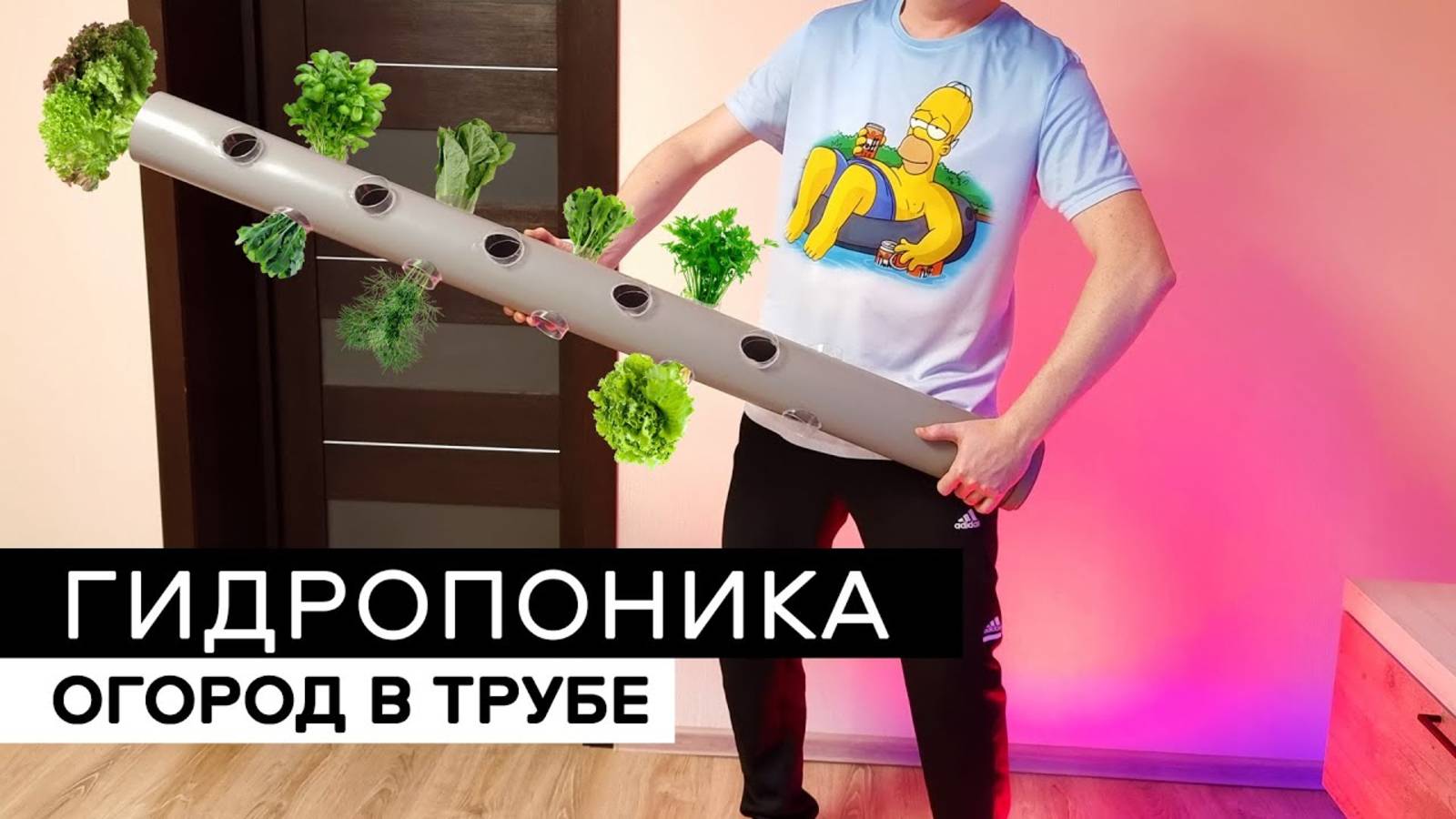 Вертикальная гидропоника в квартире, своими руками