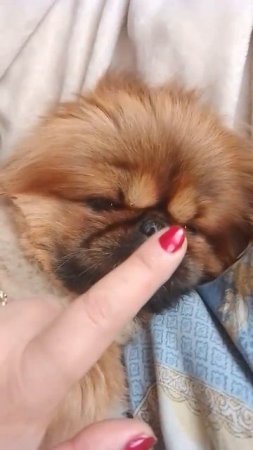 Доброе утро всем🥰