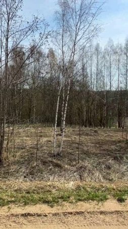 Продается  участок 24.4 сотки в ДПК Поляны, между д. Конюхово и д. Корелы, Александровский район