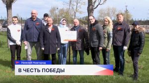 Депутаты городской Думы Нижнего Новгорода и активисты Молодёжной палаты озеленяют парк Победы