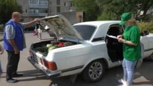 Репортаж программы "Акценты" об участии волонтёров культуры в Арбузном фестивале
