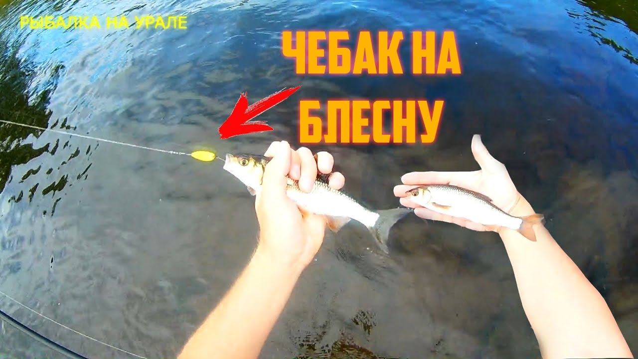 ЧЕБАК(плотва) НА СПИННИНГ в +30.Поклёвки в стиле ОТДАЙ СПИННИНГ. Рыбалка на Урале. Река Каква