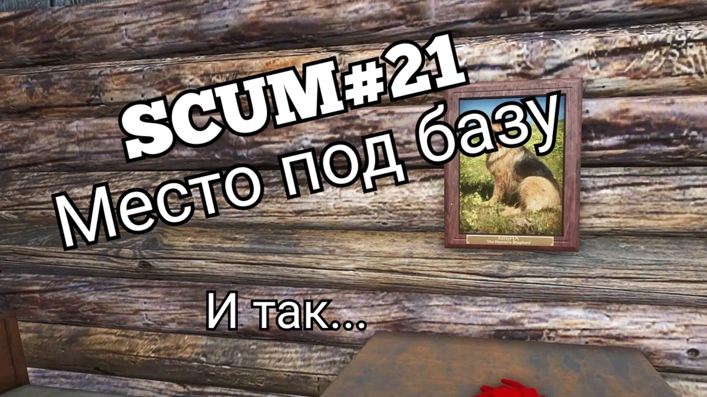 21 место под базу