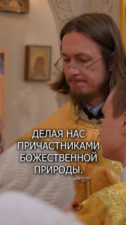 Что такое Таинства Церкви и зачем они нужны?