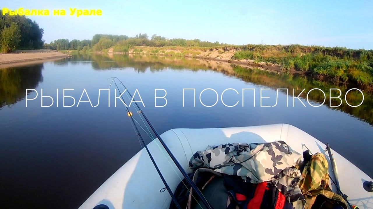 Рыбалка в Поспелково. Окуню клюют даже на дохлую рыбу!!! РЫБАЛКА НА УРАЛЕ 2022.