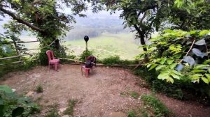 Tea With Nature | Una - Hamirpur Rd, Bangana, Himachal Pradesh | Explore Himachal #himachali #vlog
