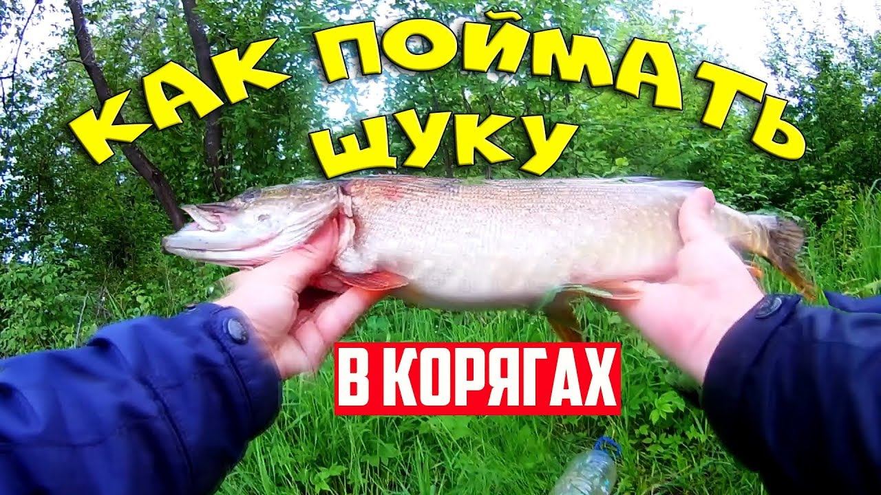 РЫБАЛКА НА ЖИВЦА С ПОПЛАВКОМ в корягах! Рыбалка на Урале.Сезон 2019. Ловим щуку на живца в корягах