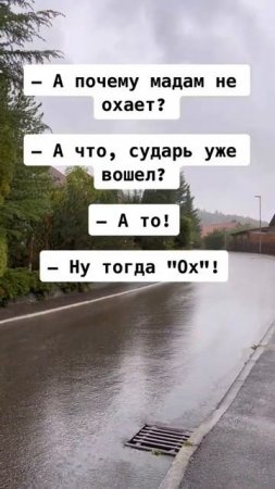 А почему вы молчите? | прикол