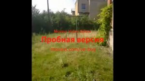 Грибы Тает лёд версия мяч