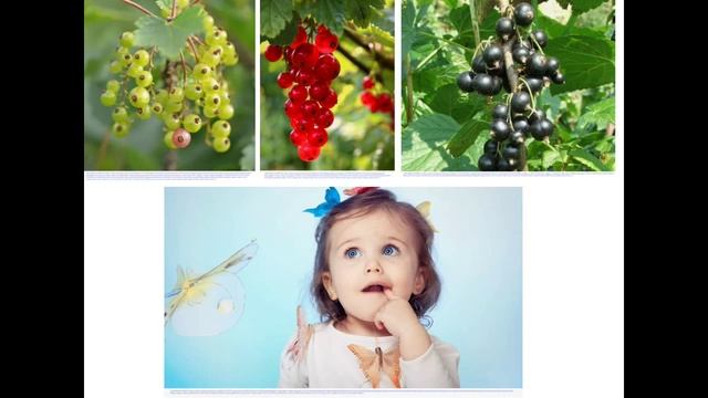 Анекдот про смородину. f-d6dc606ddc97