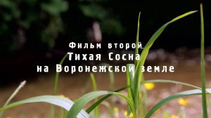 Тихая Сосна – река моего детства (фильм 2)