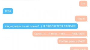 Переписка Салли и Ларри)