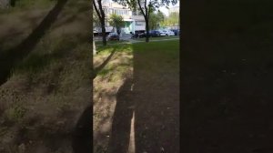 Мы идём гулять с собакой! | 30-апр-2025, 4
