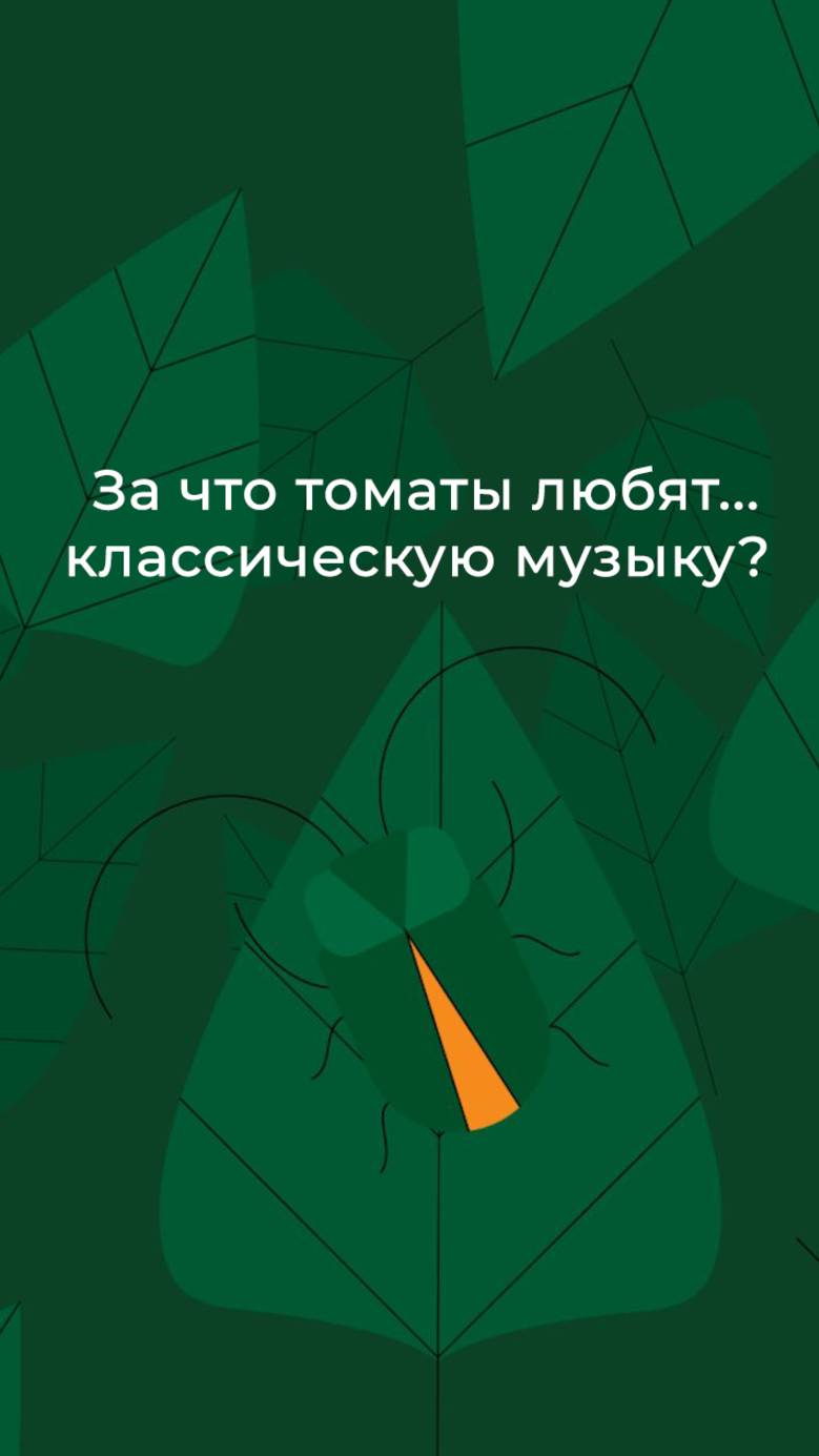 За что томаты любят… классическую музыку?