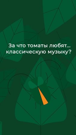 За что томаты любят… классическую музыку?