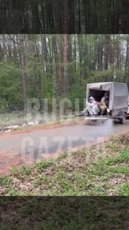 На лыжной базе сейчас проходит обработка территории от клещей