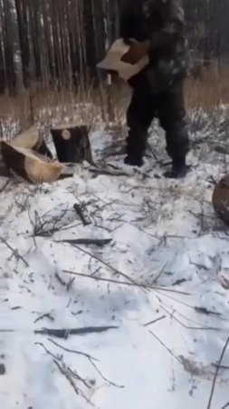 Сибирский помощник #медведь #анекдот #юмор # #сигма #shortsvideo #приколы #smile#shortsvideo