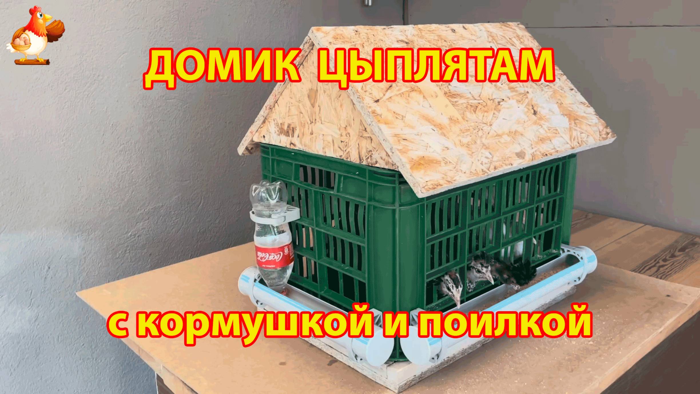 Домик для цыплят из ящика с кормушкой и поилкой 🐥🐤❣️