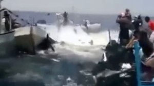 Приколы про рыбалку видео