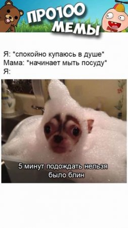 Мемы 2022 #мемы2022 #мемы #приколы #мемыскотами #смешныекоты #смешныесобаки #мемыдня #про100мемы