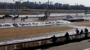 ЦМИ.Ипподром.Часть 12.Разговоры о Бегах и Скачках.Сезон 2015