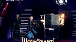 Цирк "Кобзов" в Кременчуге