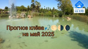Прогноз клёва🎣. Лунный календарь рыбака на май 2025г.🌕🌗🌑