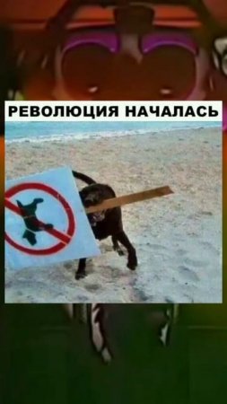 Мем #45 #shorts #meme #memes #мемы #мем #жиза #жизнь #прикол #топ