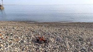 2).  Встреча на берегу моря КЦ Сияние , часть 2