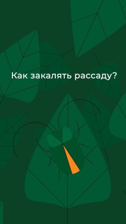 Как закалять рассаду?