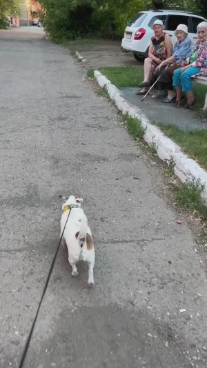 Бабушки старушки 👵😊