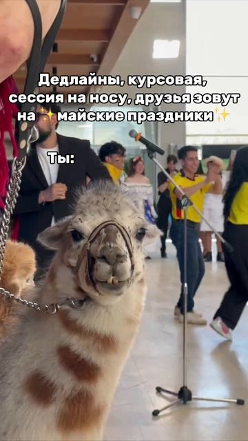 Студенты РУДН и майские праздники