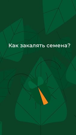 Как закалять семена?