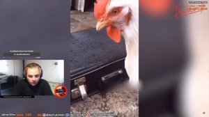 Crazy смотрит смешные ролики