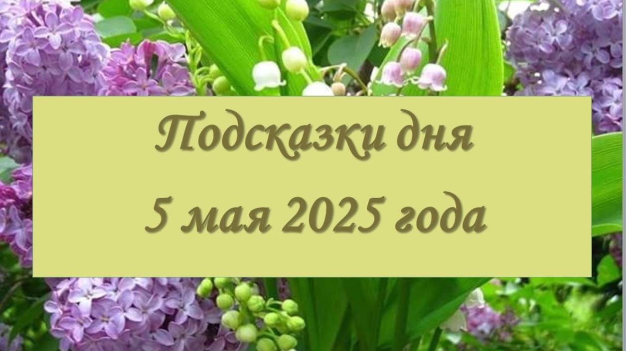 Гороскоп на 5 мая 2025 года (общий, по показателям дня)
