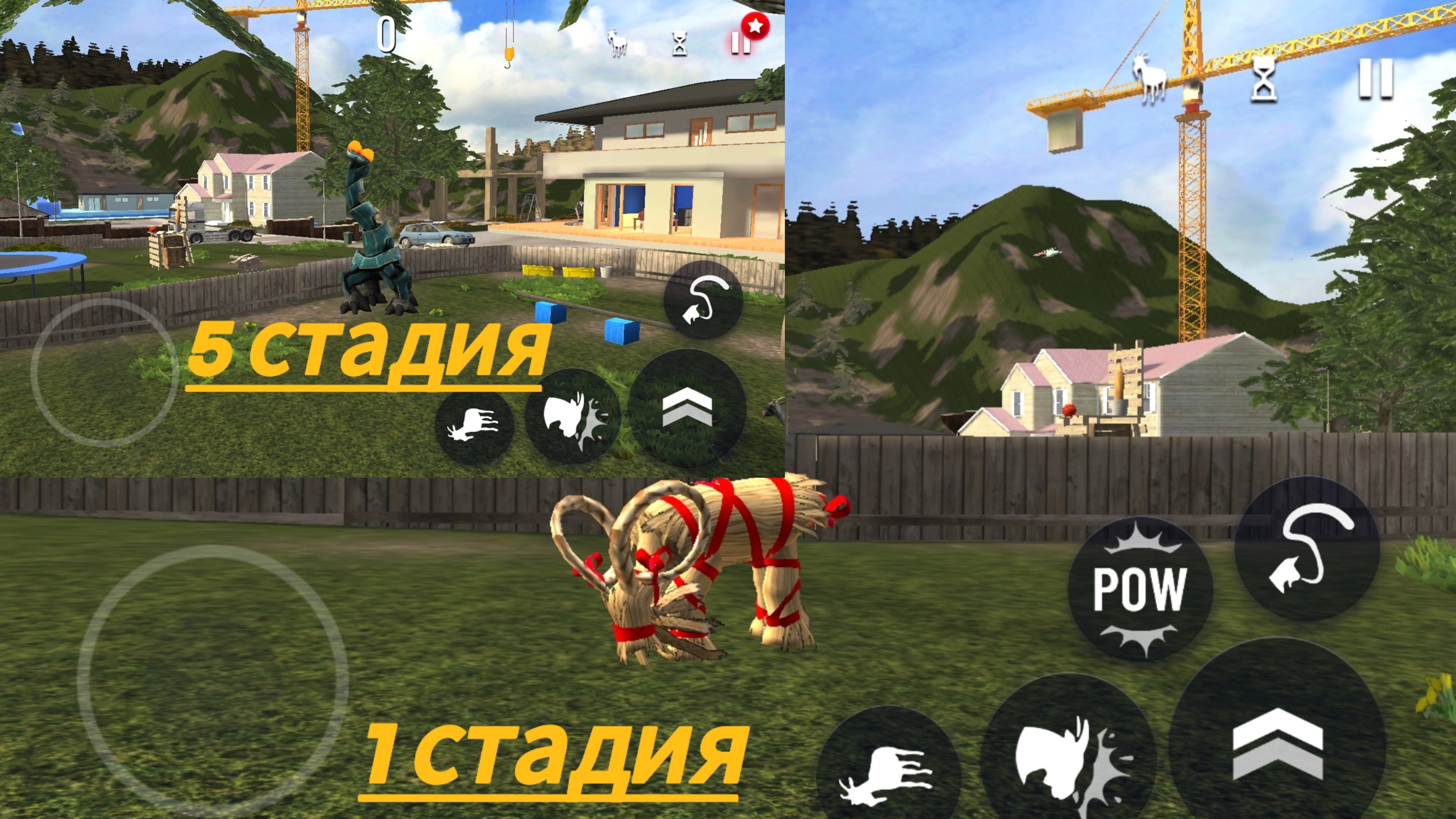 5 стадий странных козлов🐐🤪