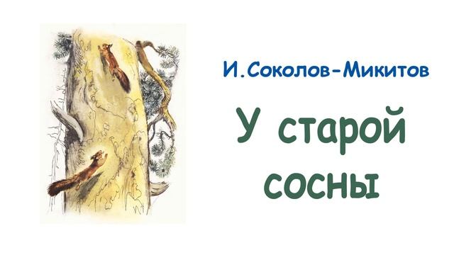 «У старой сосны» И. Соколов-Микитов - Слушать