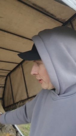 Получил колоды для пчёл