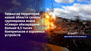 На территории нашей области сапёры ГВ «Север» обезвредили больше 6,5 тысяч боеприпасов