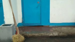 Видели видео. Прикол