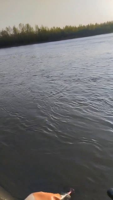 поисковое магнит на реке 🧐 что же там