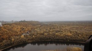 Как сделать предложение руки красиво?