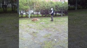 Барат1 Предметы.30.04.2025