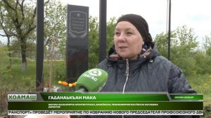 «Дагалувцама беш» иштта ц1и йолаш яр Шолжа районе д1айихьа акце