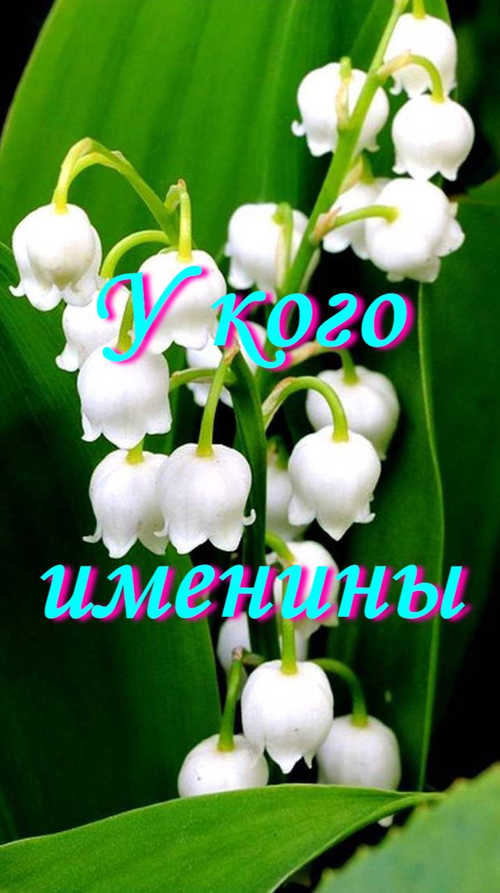 Именины 🥳 | 17 мая