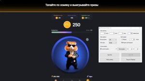 АВТОКЛИКЕР ХАМСТЕР КОМБАТ / HAMSTER KOMBAT — КАК УСТАНОВИТЬ ХОМЯКА НА ПК — ЗАРАБОТОК И ВЫВОД