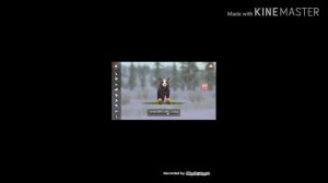 Приколы в Wildcraft