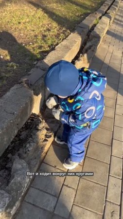 Ищем «ТАРАКАНОВ» 😂🪳 #дети #юмор #funny #приколы #cutebaby #смех #шутки #семейныйблог